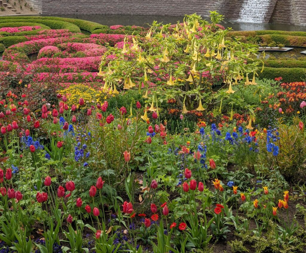 Smelling Flowers Soothes the Soul - I am Lilly I am strong